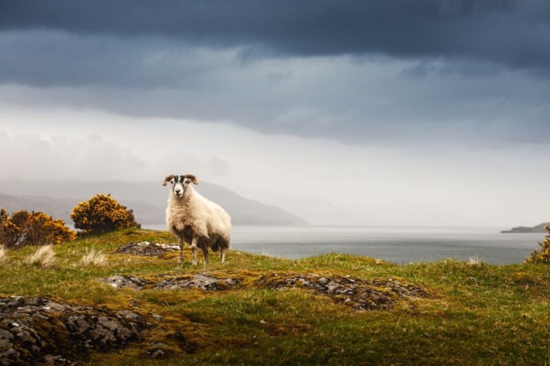Iona, Mull, and Isle of Skye: 5-Day Tour from Edinburgh - FAQ