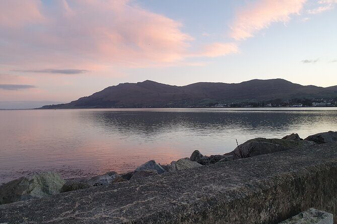 Ireland North Coast MEGA Trip for up to 8 Passengers - Who This Tour Is Best For