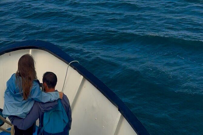 Ireland's Eye and Howth Coastal Boat Tour - Key Points  