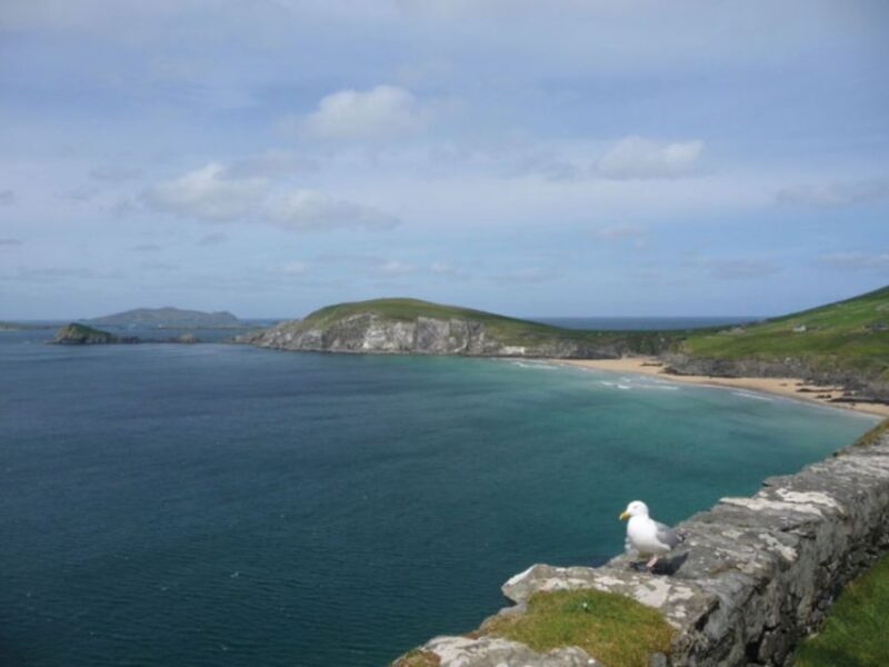 Ireland's North Atlantic Coast 5-Day Tour from Dublin - Who Should Book This Tour?