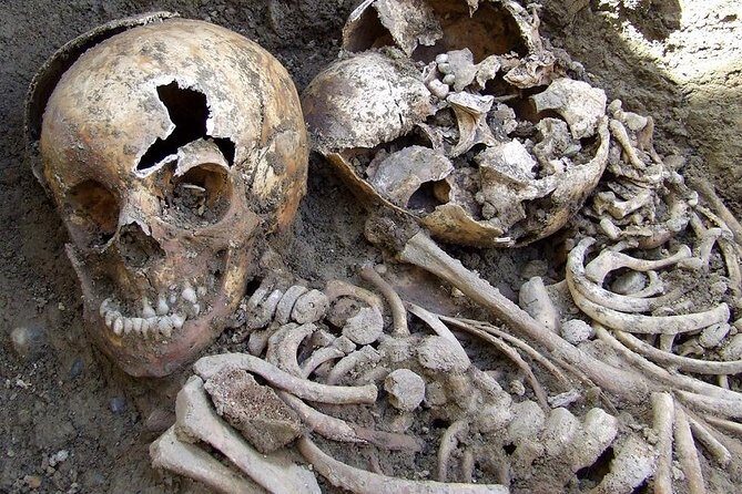 Irish Famine Museum / Exhibition Dublin - Key Points