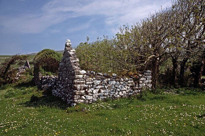 Irish Famine Museum / Exhibition Dublin - FAQ