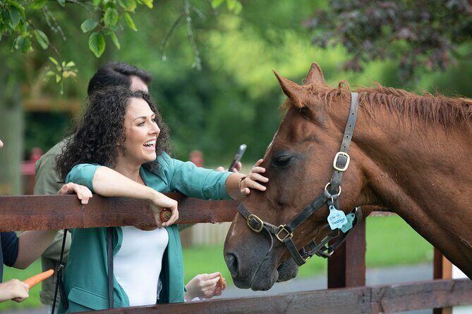 Irish National Stud & Gardens Skip the line Entrance - An Overview of the Irish National Stud & Gardens Experience