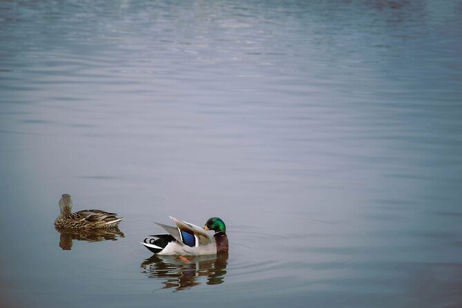 Isafjordur and Westfjords Private Tour - FAQs