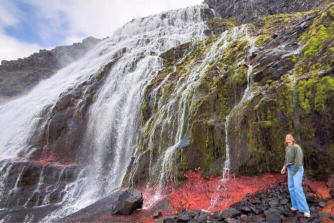 Isafjordur and Westfjords Private Tour - Final Thoughts