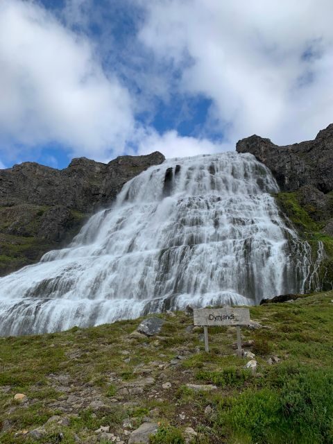 Isafjordur: Dynjandi Waterfall Tour and Icelandic Farm Visit - Authenticity and Review Highlights