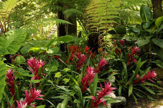 Ischia and La Mortella Gardens - What Travelers Love About This Tour