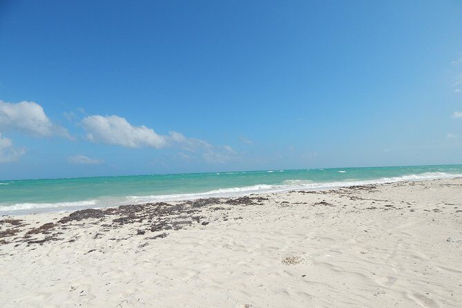 Isla Blanca wildlife expedition private bike & boat tour cancun mexico - Who Will Love This Tour?