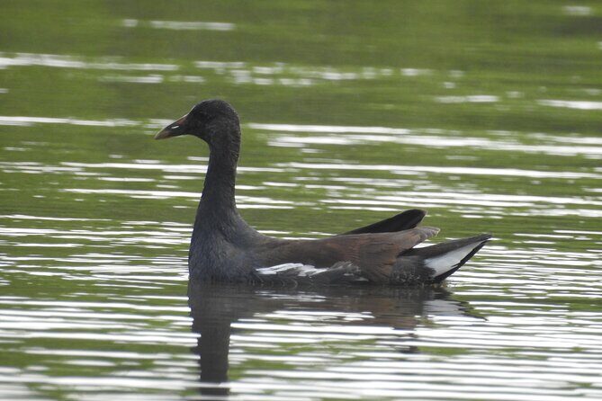 Isla Blanca wildlife expedition private bike & boat tour cancun mexico - FAQs