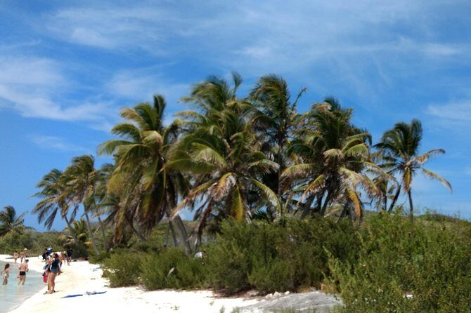 Isla Contoy and Isla Mujeres Tour with Snorkeling from Cancun - The Sum Up: Is This Experience Worth It?