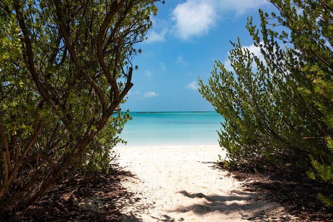 Isla Contoy Experience incl. Breakfast and Lunch - Additional Recommendations