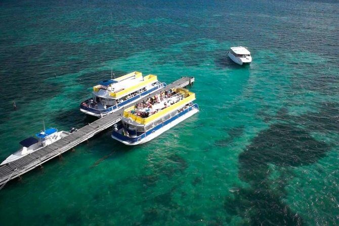 Isla Contoy! Explore a Bird Sanctuary from Cancun - Key Points