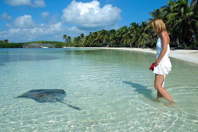 Isla Contoy! Explore a Bird Sanctuary from Cancun - The Itinerary in Detail