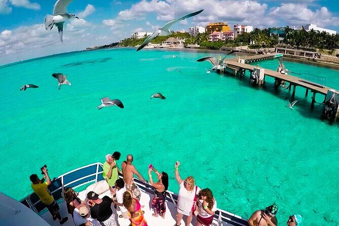 Isla Contoy! Explore a Bird Sanctuary from Cancun - Final Thoughts: Who Will Love This Tour?