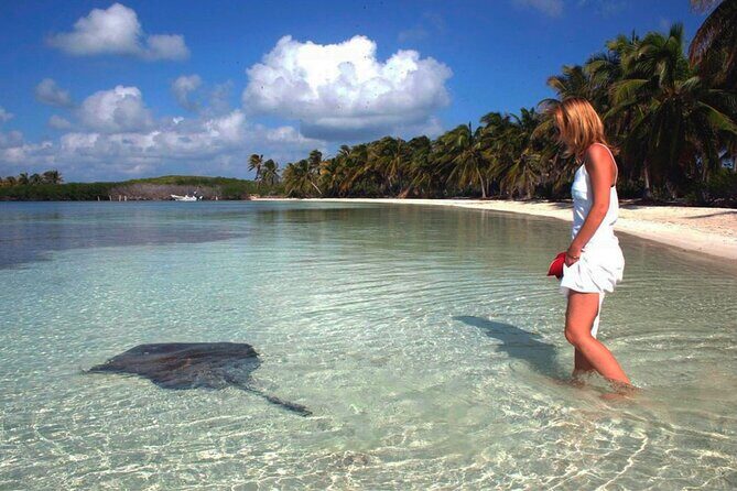 Isla Contoy Hidden Beauty! With Round Transportation From Cancun & Riviera Maya - Details, Cost, and Practical Tips