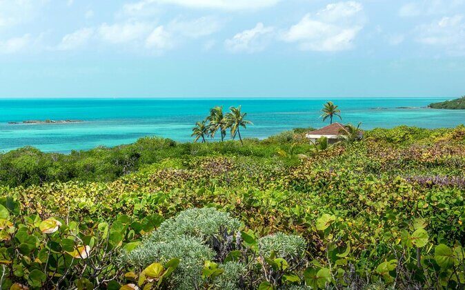 Isla Contoy Incredible Tour! Round Transportation From Cancun & Playa ...