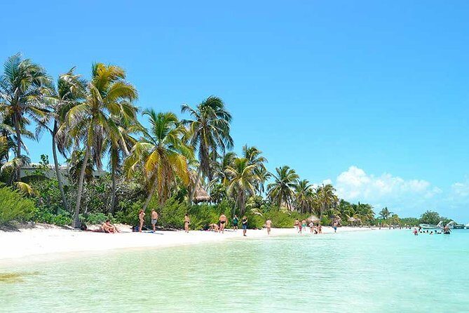 Isla Contoy Incredible Tour! Round Transportation From Cancun & Playa Del Carmen - Frequently Asked Questions
