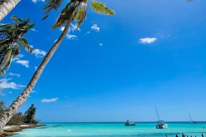 Isla Contoy & Isla Mujeres All inclusive with Buffet & open Bar - Who Would Love This Tour?