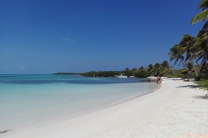 Isla Contoy & Isla Mujeres (from Playa del Carmen) - The Price and What It Gets You