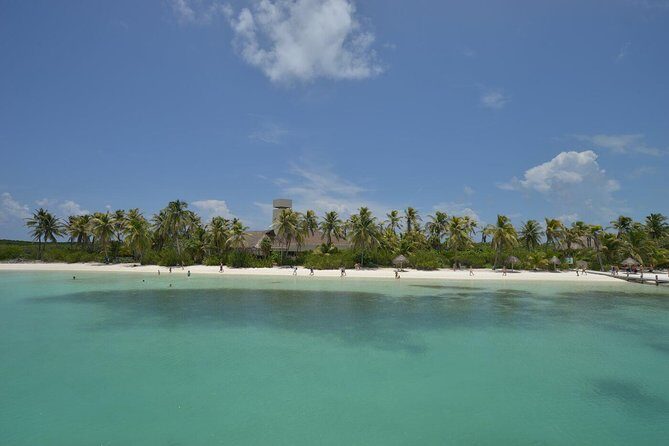 Isla Contoy & Isla Mujeres (from Playa del Carmen) - Authentic Insights from Reviewers