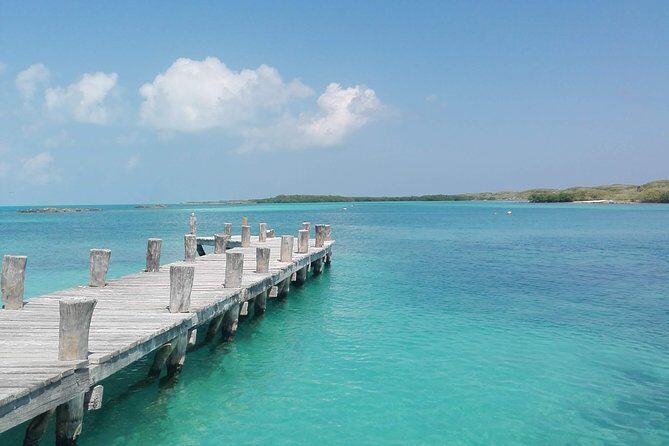 Isla Contoy & Isla Mujeres (from Playa del Carmen) - Practical Tips