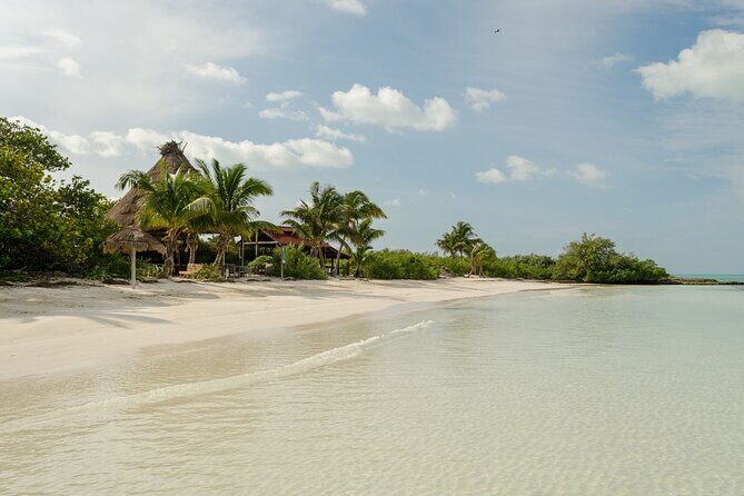 Isla Contoy Private Day Tour, from Cancun - Key Points