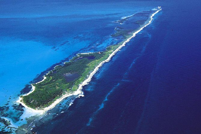 Isla Contoy & Shopping tour in Isla Mujeres from Cancun & Riviera Maya - Exploring the Itinerary in Detail
