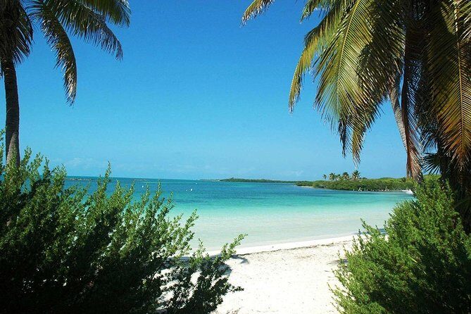 Isla Contoy & Shopping tour in Isla Mujeres from Cancun & Riviera Maya - Final Thoughts