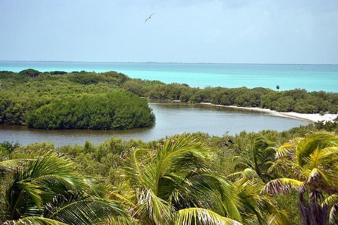 Isla Contoy & Shopping tour in Isla Mujeres from Cancun & Riviera Maya - FAQ