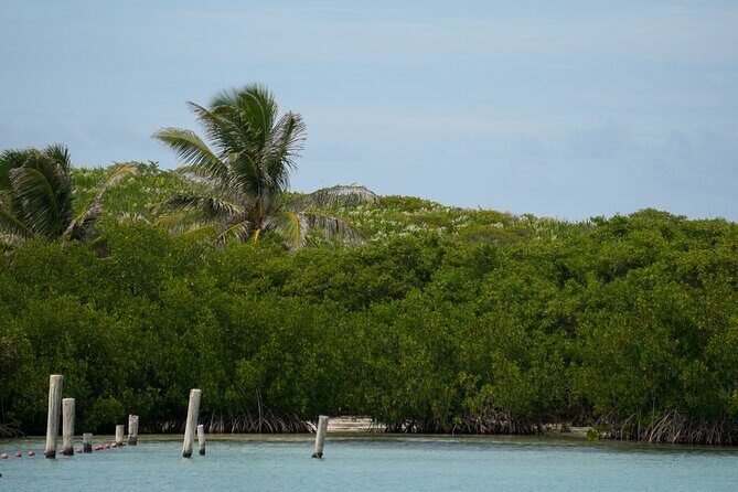Isla Contoy Snorkeling Experience with Buffet - The Sum Up: Who Will Love This Tour?