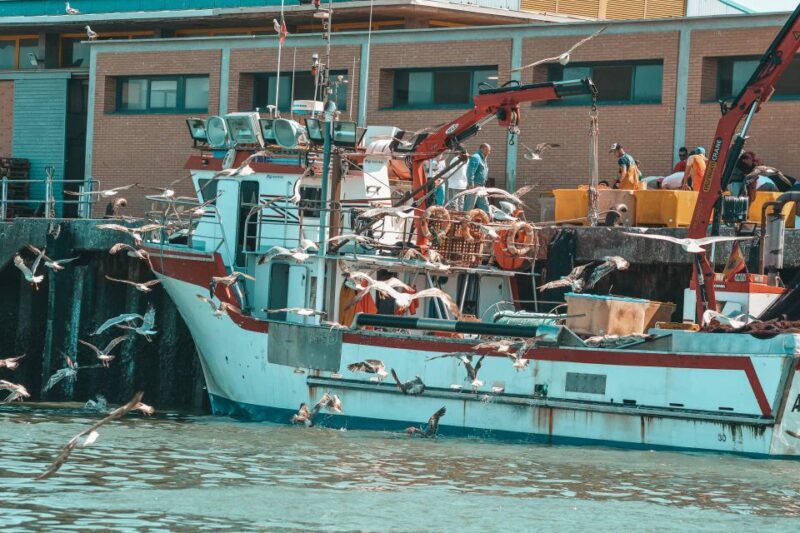 Isla Cristina/Isla Canela: Boat Trip Through the Marshes - Practical Details and Tips