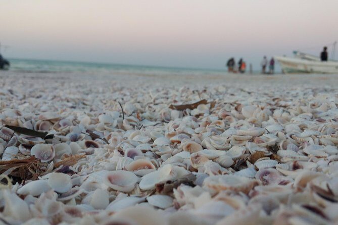 Isla Holbox All Inclusive with Transportation (Breakfast and Food Included) - Who Should Consider This Tour?