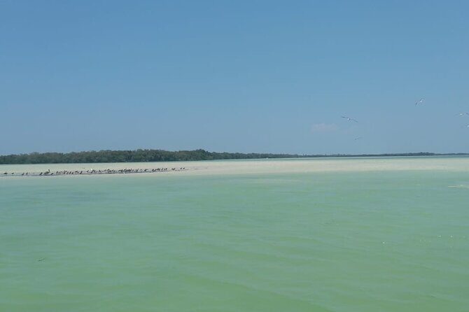 Isla Holbox Day Tour from Cancun with Lunch Included - Practical Tips for Your Day