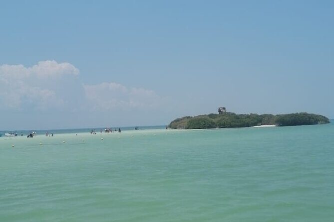 Isla Holbox Day Tour from Cancun with Lunch Included - Who Is This Tour Perfect For?