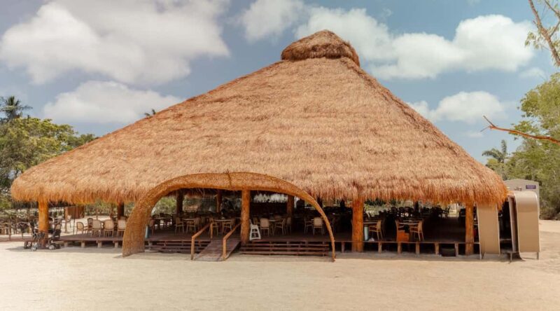 Isla Mia Roots with Tranfer - Food and Beverage Options