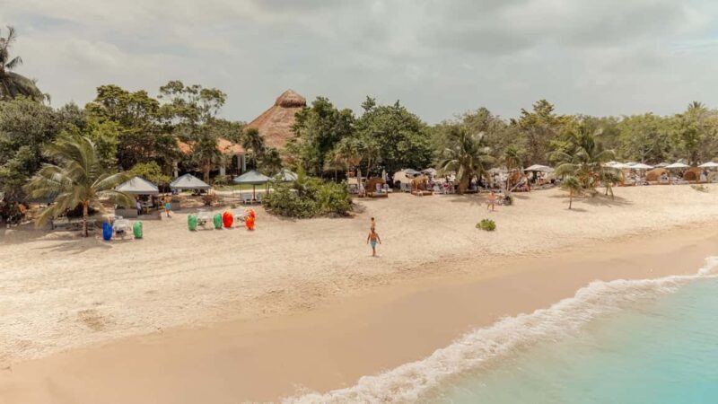 Isla Mia Roots with Tranfer - Transportation and Logistics