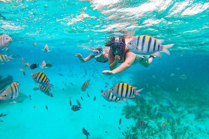 Isla Mujeres and Cancun Snorkeling and Fishing Combo - Key Points 
