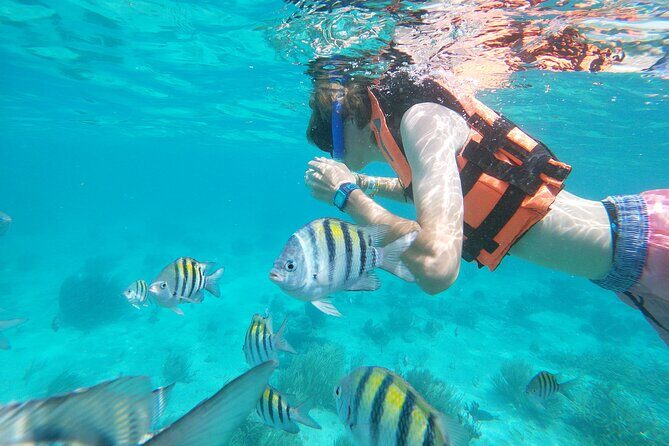 Isla Mujeres and Cancun Snorkeling and Fishing Combo - Why This Tour is Worth Considering