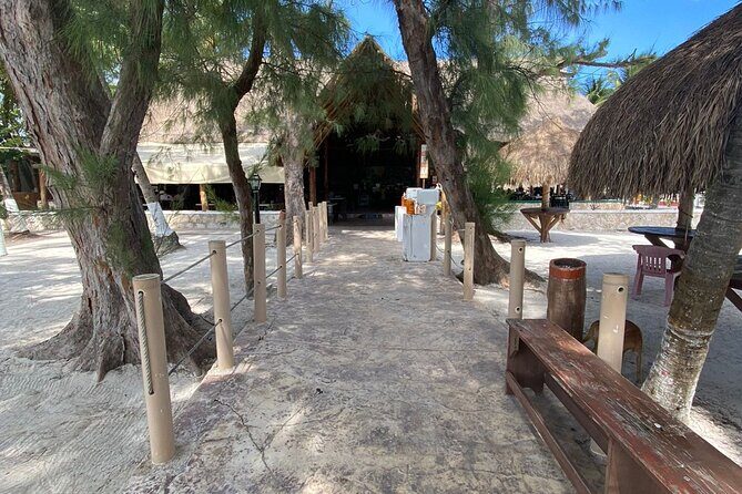 Isla Mujeres Basic Catamaran Tour with Snorkeling and Open Bar - The Real Deal: Insights from Reviews