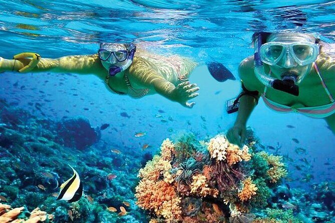 Isla Mujeres Catamaran, Open Bar & Optional Buffet and pick up - Final Words: Who Should Consider This Tour?