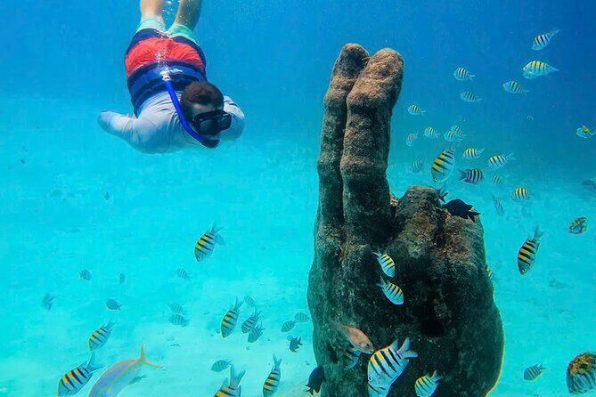 Isla Mujeres Catamaran Tour - Practical Details and What to Expect