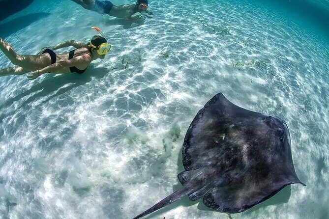 Isla Mujeres: Coral Reef Views from a Clear Boat - What to Expect During the Tour