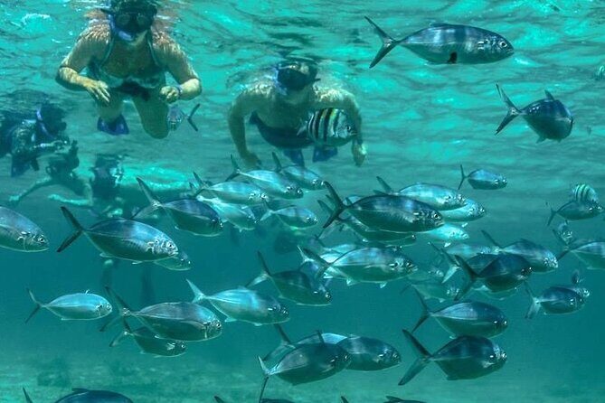 Isla Mujeres Full-Day Catamaran Tour Buffet, Open Bar & Pickup - Authentic Insights from Reviewers