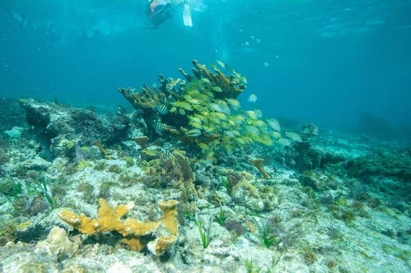 Isla Mujeres: Full Day Private Catamaran with Snorkeling - The Experience Breakdown