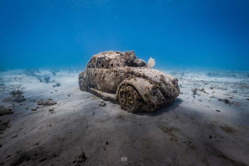 Isla Mujeres - MUSA and the Manchones Reef - Snorkel - An Overview of the Experience