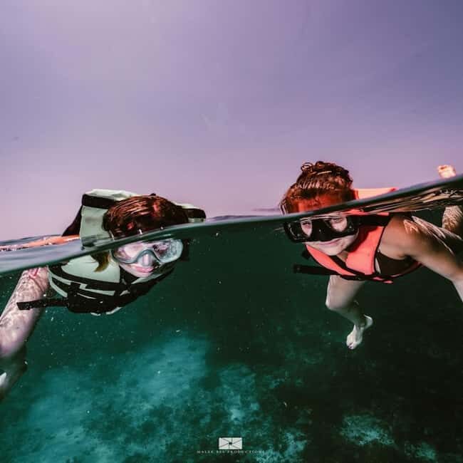 Isla Mujeres - MUSA and the Manchones Reef - Snorkel - Navigating the Itinerary