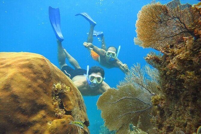 Isla Mujeres party on board! Catamaran,Lagoon,Snorkel & Downtown - FAQ