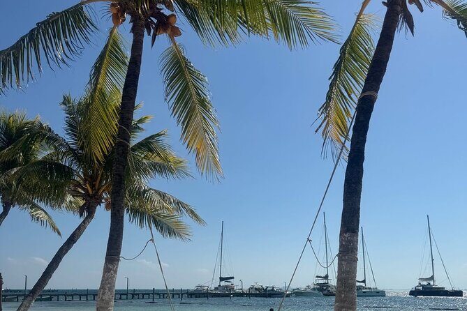 Isla Mujeres Plus Tour with Snorkeling Buffet and Open Bar - An In-Depth Look at the Tour Experience