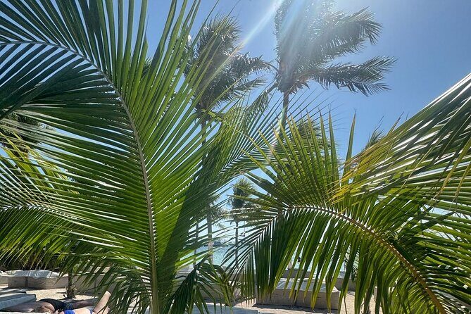 Isla Mujeres Plus Tour with Snorkeling Buffet and Open Bar - The Sum Up