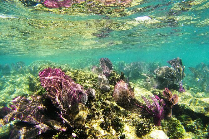 Isla Mujeres Private Dream Getaway - A Closer Look at the Isla Mujeres Private Dream Getaway